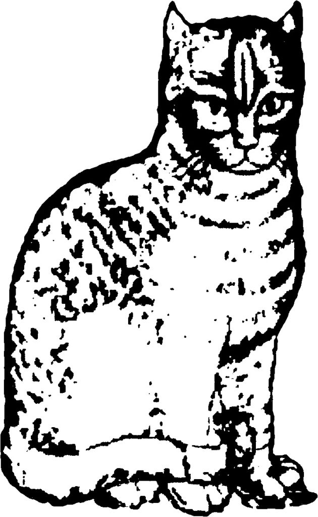 News & Events – Mariscat Press & Hamish Whyte